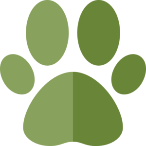 German Shepherd Breeder - Puppies for sale | Vom Royalhaus